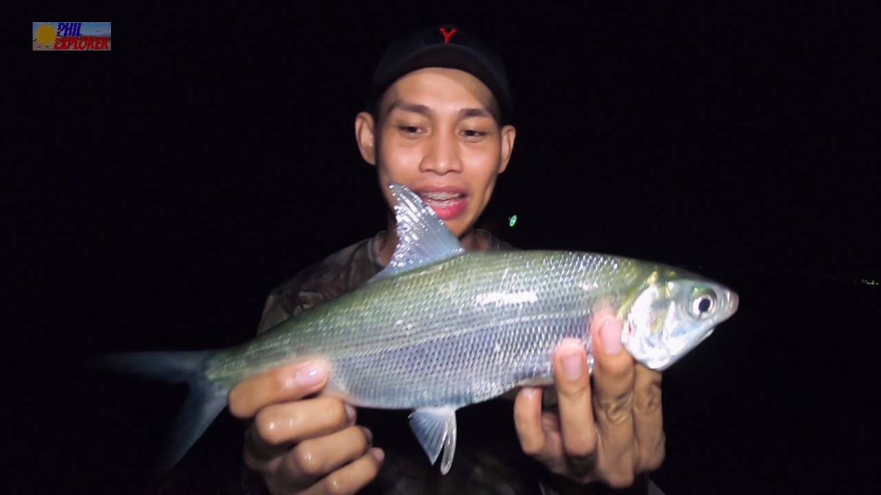 Laguna Lake Philippines Fishing at Elsie Phillips blog