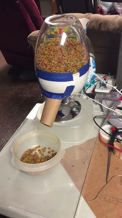 Raspberry Pi Cat Feeder - YouTube