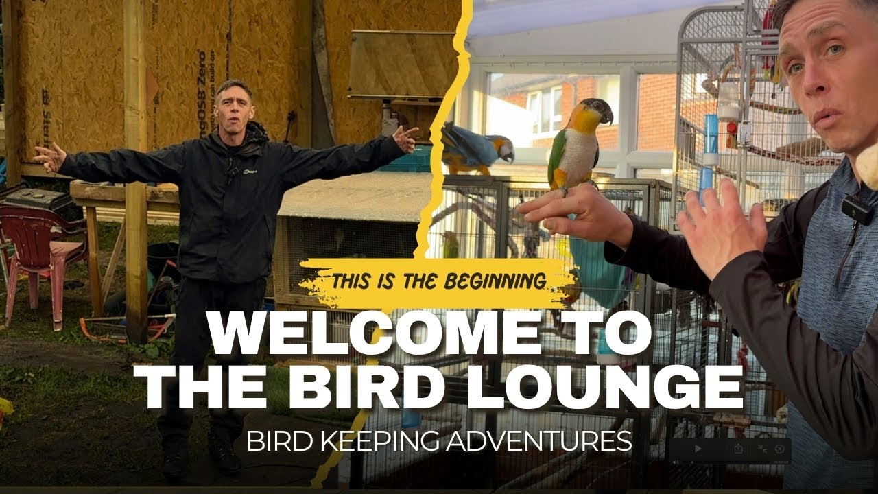 Welcome to the Bird Lounge | The Real Side of Bird Keeping & Breeding ...
