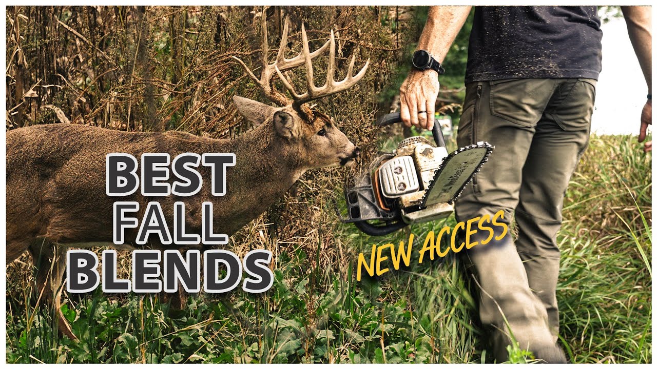 Creating BETTER Access On My Property, Choosing Fall Food Plot Blends ...