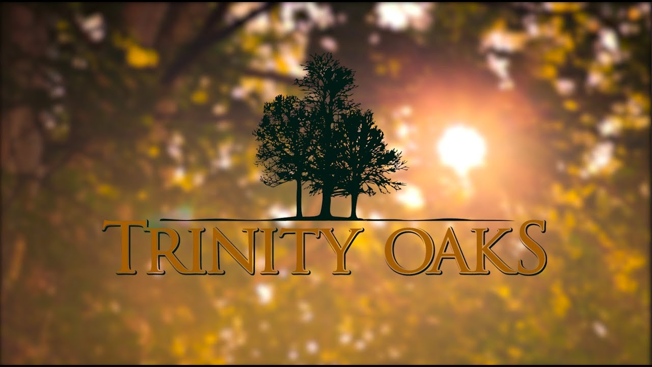 Trinity Oaks Gala 2016 - Presentation - YouTube