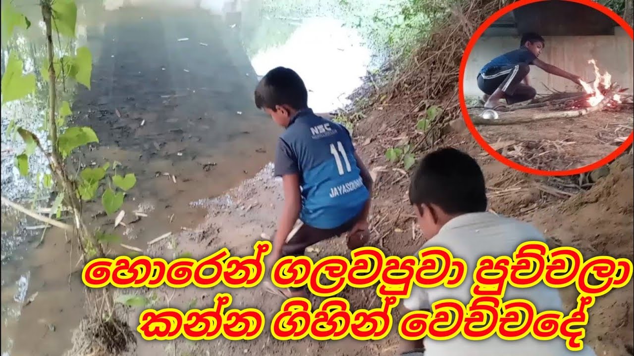 "Cooking Under the Bridge: Roasting Cassava in Secret – Will Mom Find ...