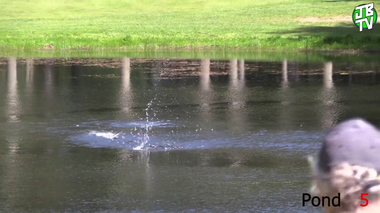 2019 Disc Golf Fails filmed in Washington state - YouTube