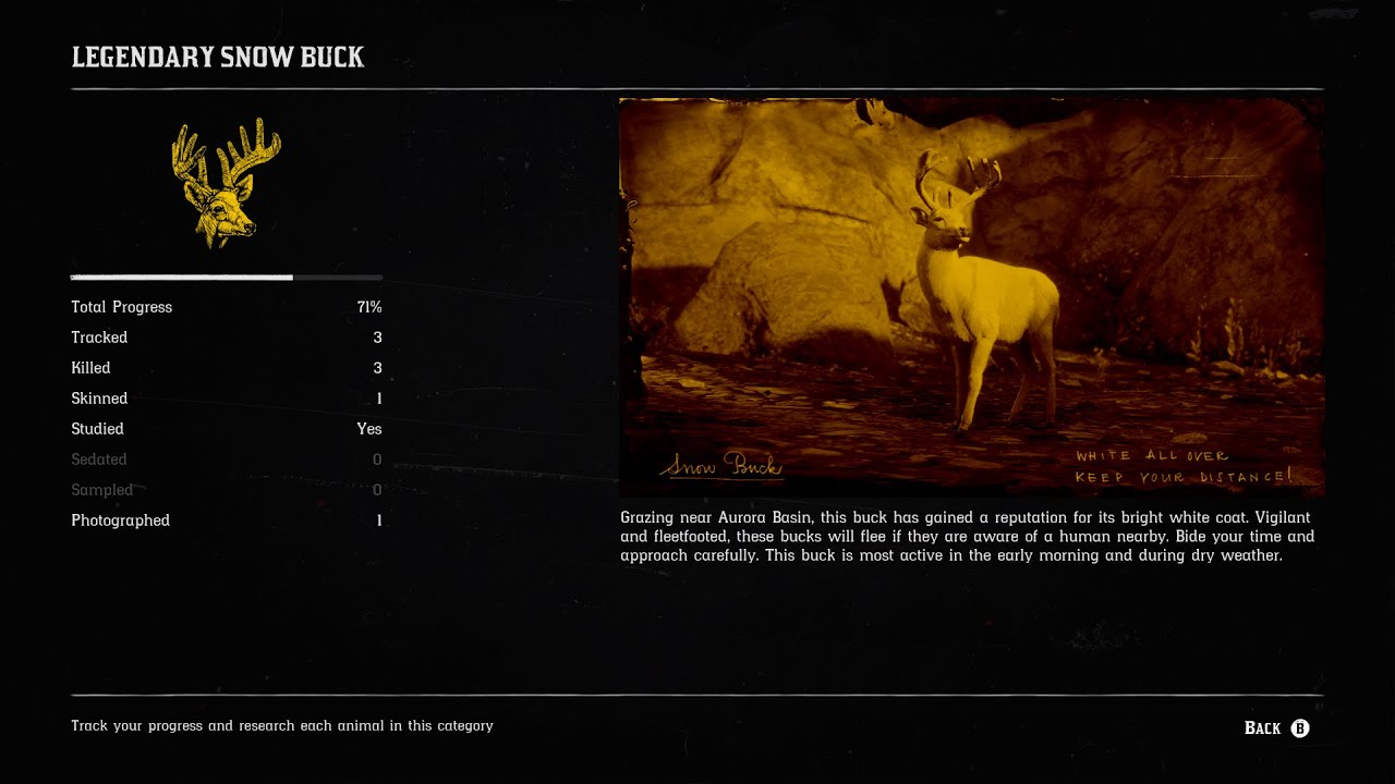 Red Dead Redemption 2 Online - Finding the Legendary Snow Buck - YouTube