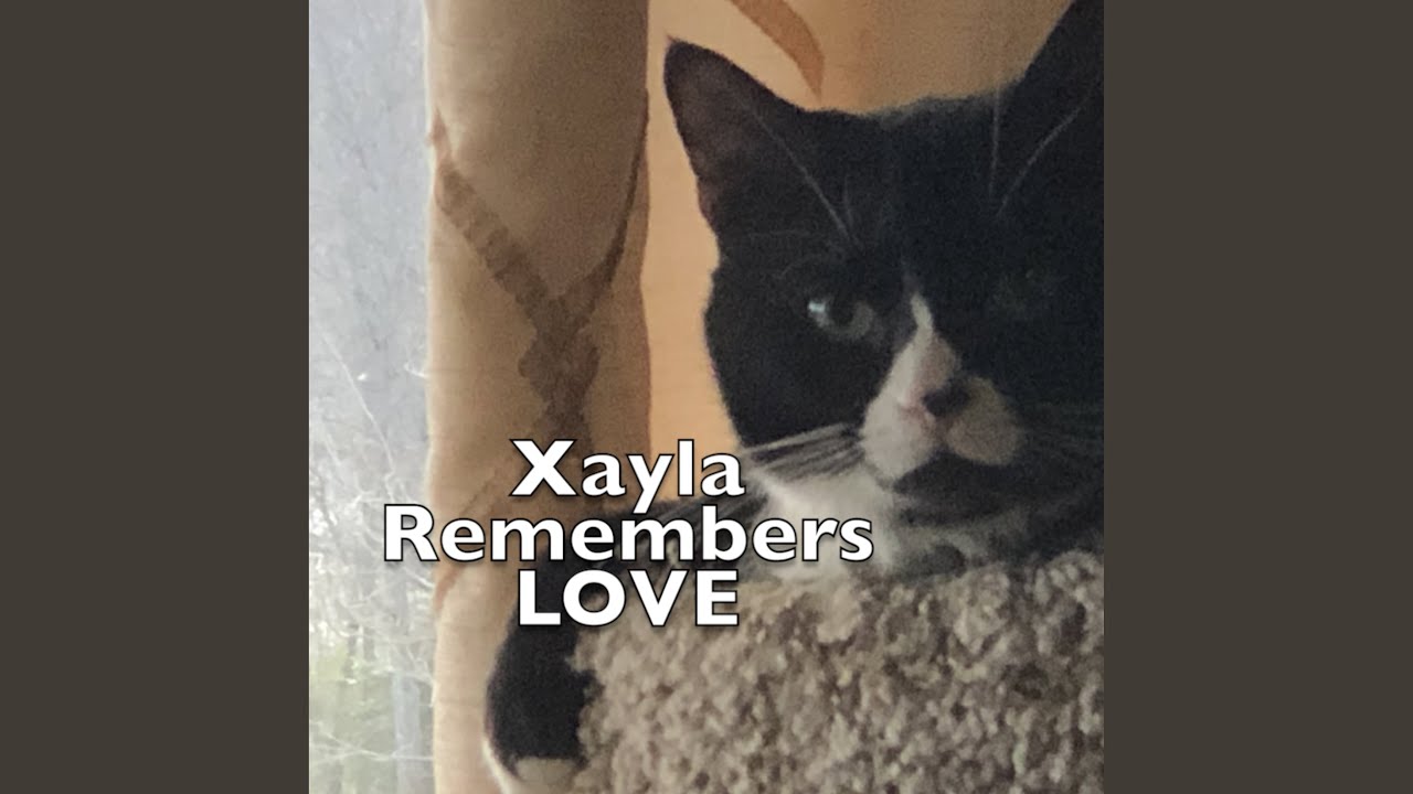 Xayla Remembers Love - YouTube
