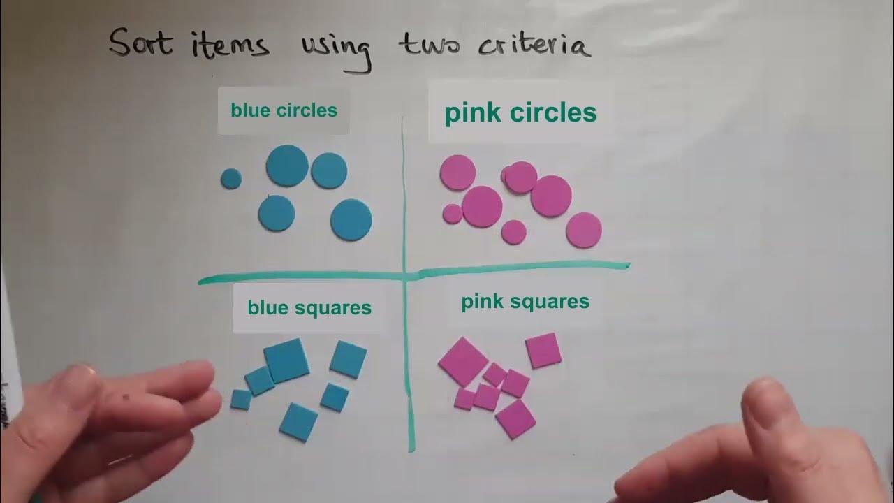 E2.24.1. Functional Skills Maths Entry 2: Sort and classify objects using two criteria - YouTube
