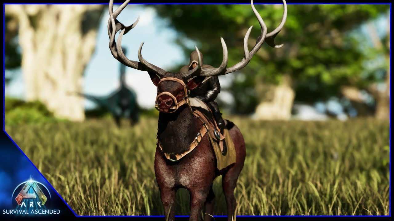 Taming An Elven Elk & Crafting Assassin Armour! | Ark Fantasy Ascended ...