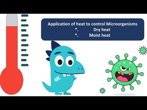 Application of heat to control Microorganisms : Effect of dry heat and ...