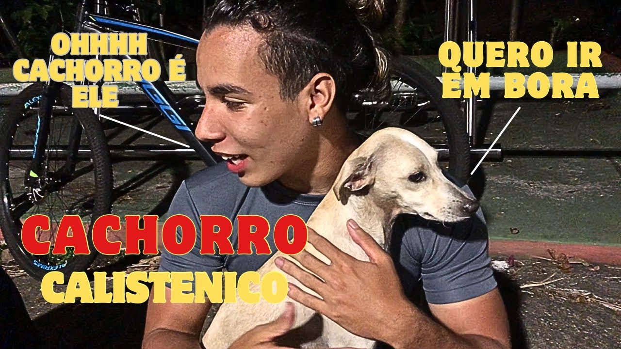 🤗 O MEME DO CACHORRO FOI ENCARNADO NESSE VÍDEO KKKKKKKKK + RESENHA ...
