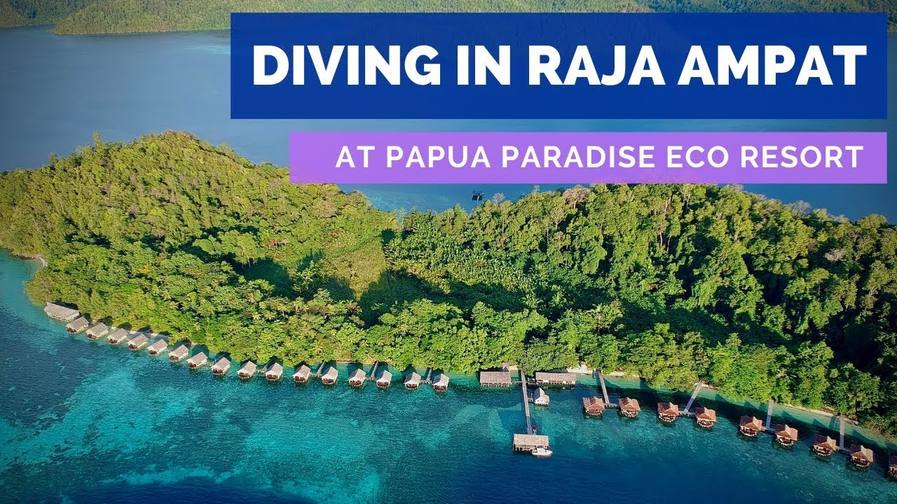 Diving in Raja Ampat at Papua Paradise Eco Resort - YouTube