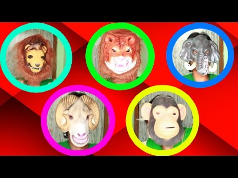 Animal Finger Family Nursery Rhymes | Animal Action Collection - YouTube