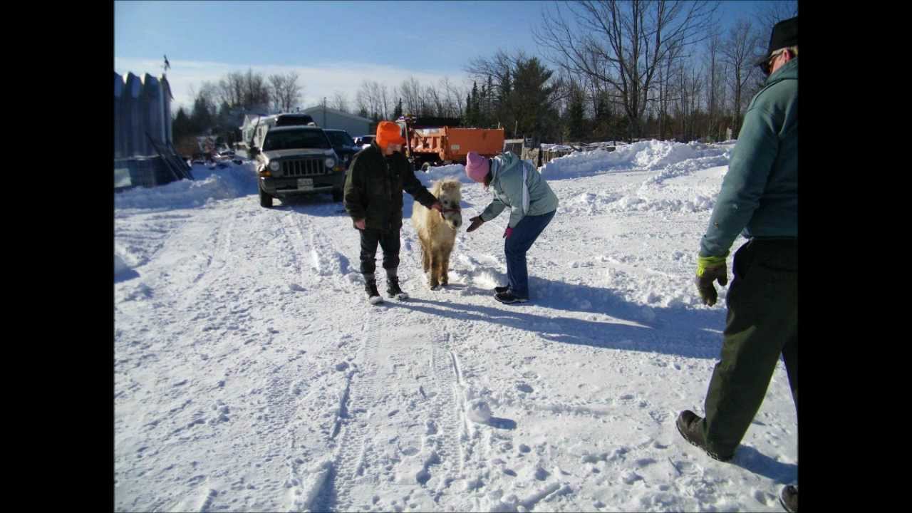 Mimi's Mini Farm - YouTube