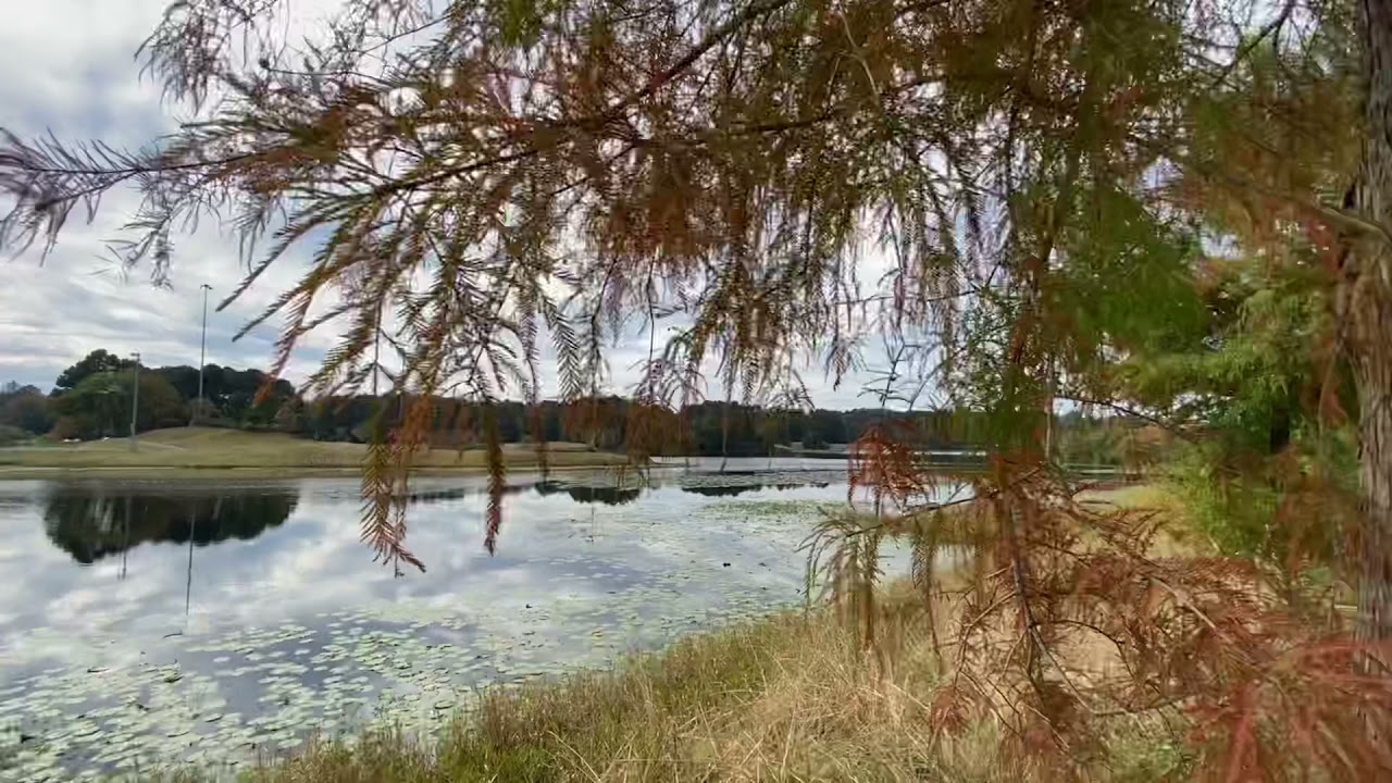 Fall in Savannah, GA - YouTube