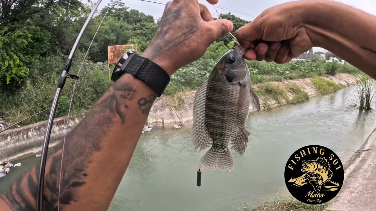 Pescando en el arrollo del rancho XICOTENCATL TAMAULIPAS 🎣💯 [Mojarras ...