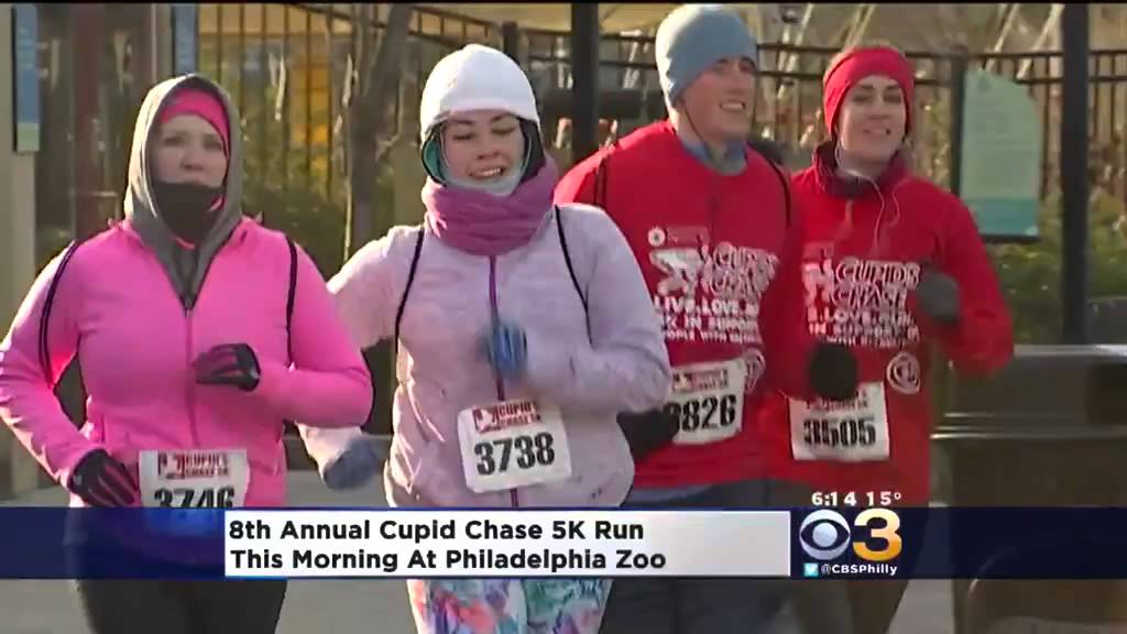 2016 Annual Cupid Chase 5K Run Held At Philly Zoo - YouTube