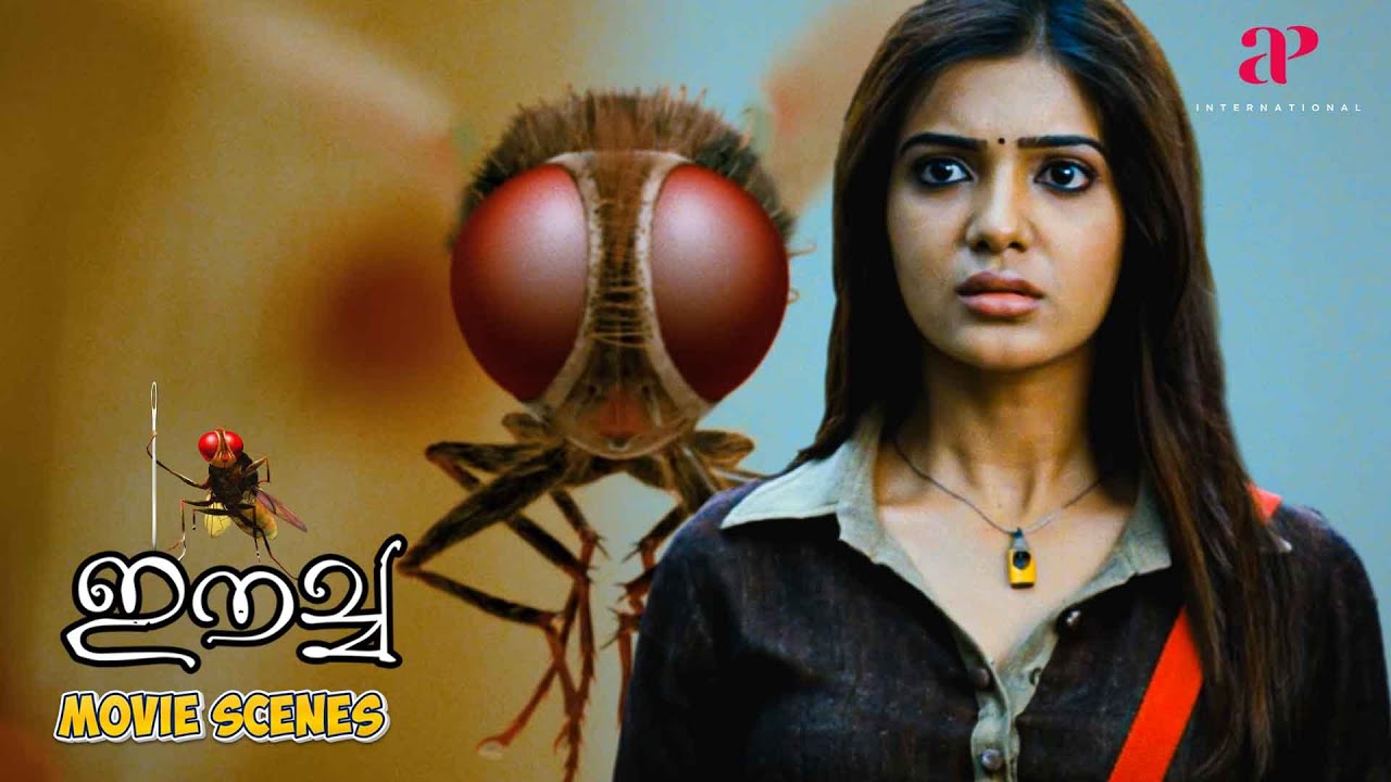 Eecha Malayalam Movie | Nani reincarnates as a fly. Will he remember ...
