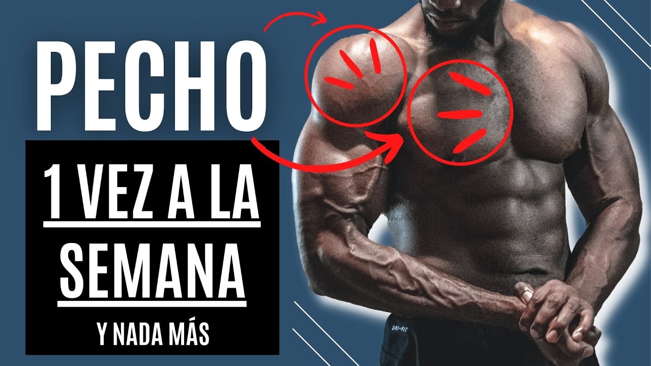 RUTINA PECHO - Entrena Una Vez a la Semana. Hombros, Pecho y Tríceps💪 ...