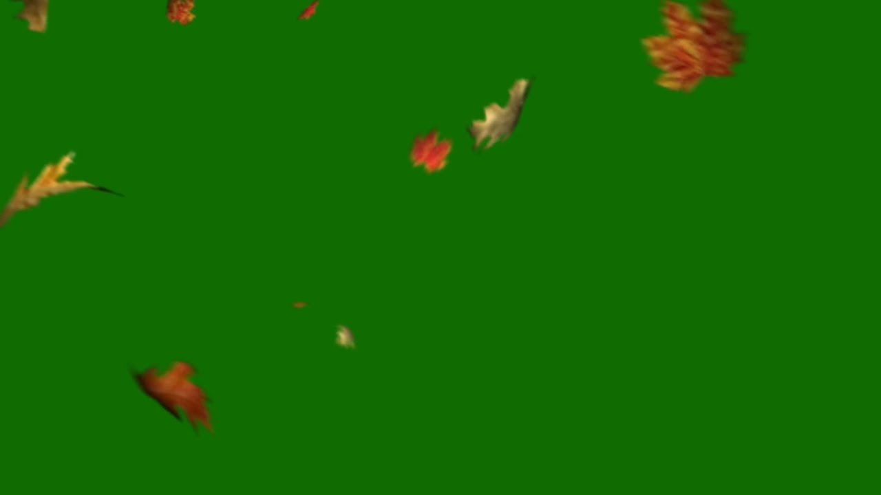 Autumn leaves green screen | Falling leaves green screen no copyright ...