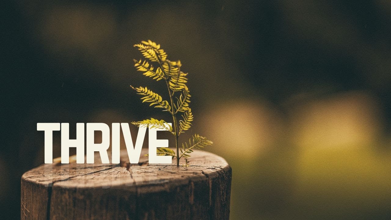 Thrive | Thriving in Commitment | 1 Thessalonians 2:17-3:13 | April 21 ...