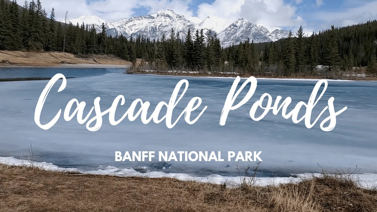 Hiking Alberta: Cascade Ponds - YouTube