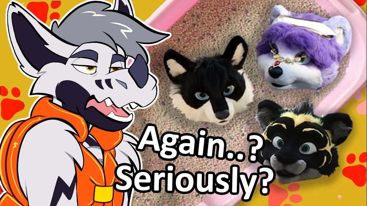THE FURRY LITTERBOX DRAMA CONTINUES... - YouTube