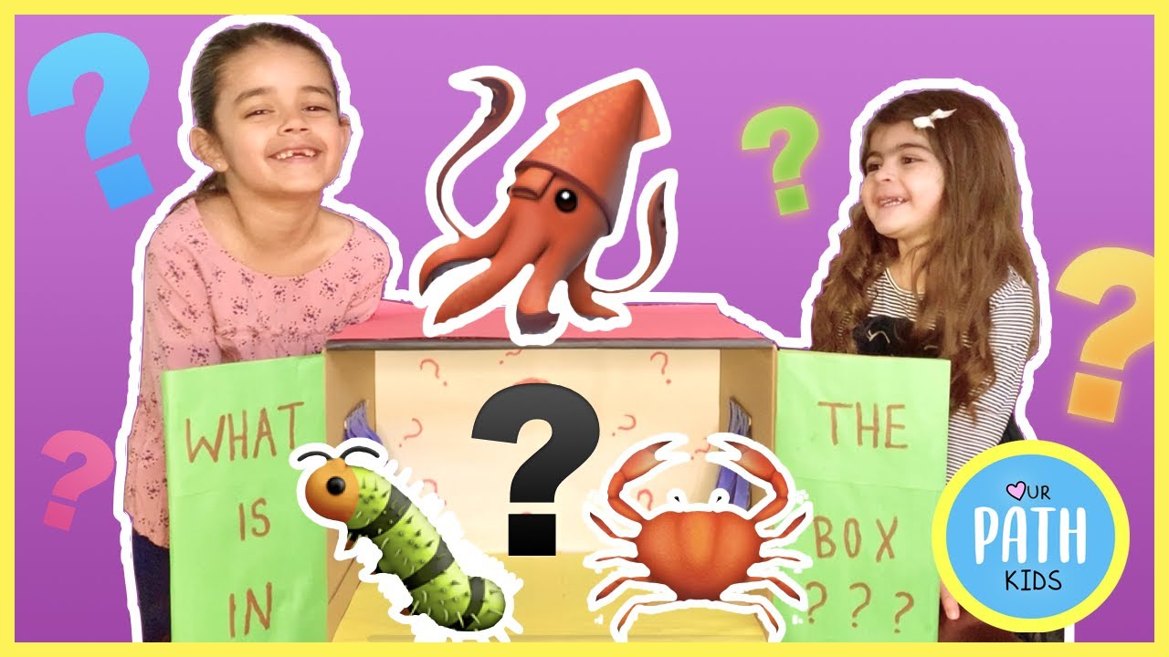 What's in the Box? | Guess Animals Food Bugs and More! | Mystery Box ...