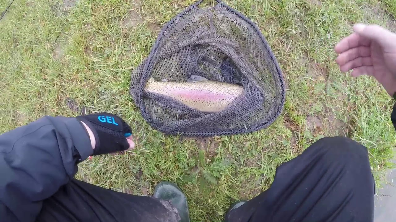 Ireland fly fishing for trout - YouTube