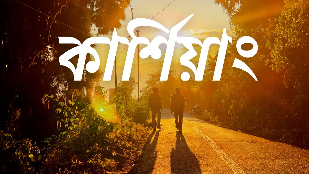 Kurseong Sightseeing | Death Road | Dowhill School | Bagora Pine Forest ...