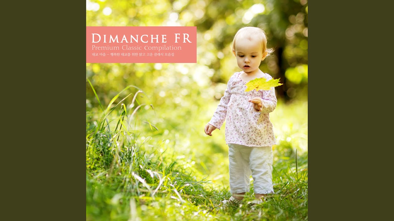 Fantasia In C Major, D.934 - III. Andantino - YouTube