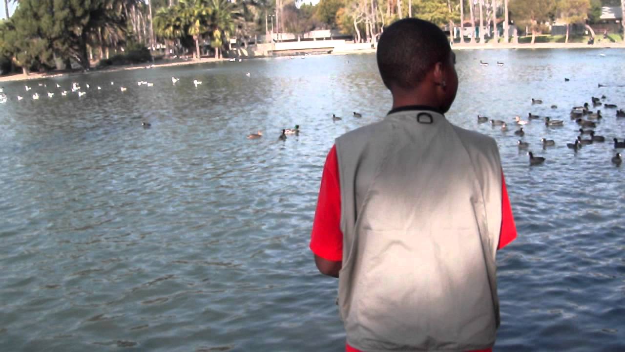 11 year old fish master marcus lowe did his thing at alondra park for ...