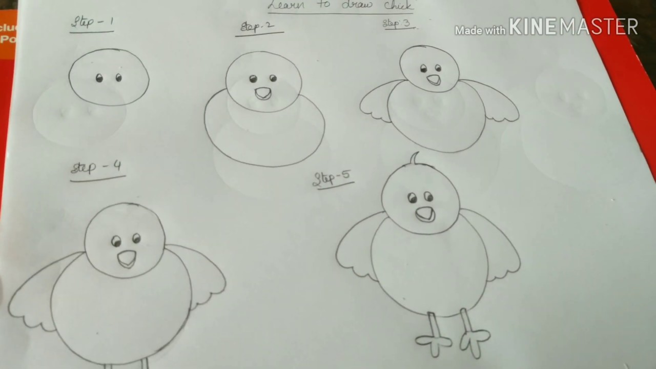 LEARN TO DRAW CHICK STEP BY STEP - YouTube