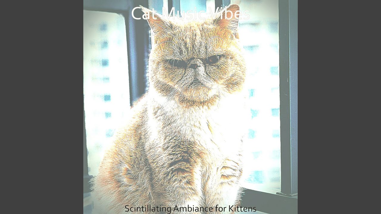 Lonely Music for Resting Cats - YouTube