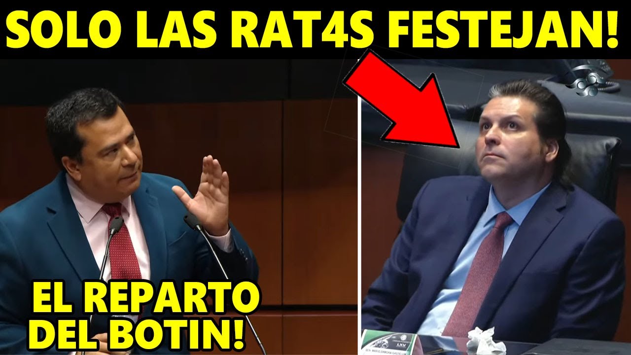 SOLO LAS R4T4S FESTEJAN EL REPARTO DEL BOTIN! ¡El PANIAGUADO es TUNDIDO ...