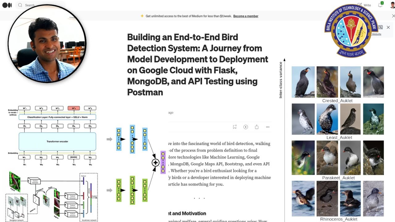 Postman Api Hackathon Submission Building An End To End Bird Detection System Using Flask Youtube