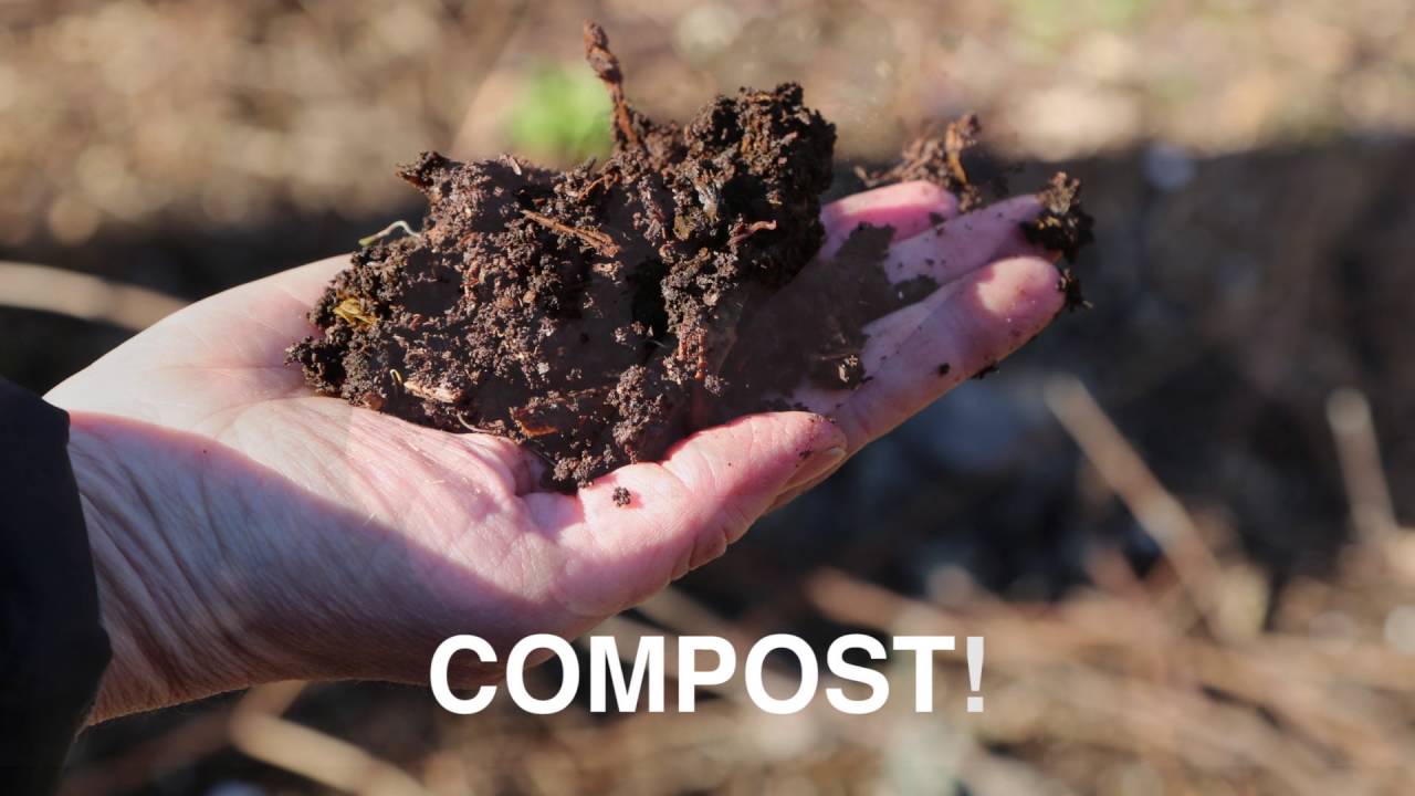 A Tasty Recipe for Compost! - YouTube