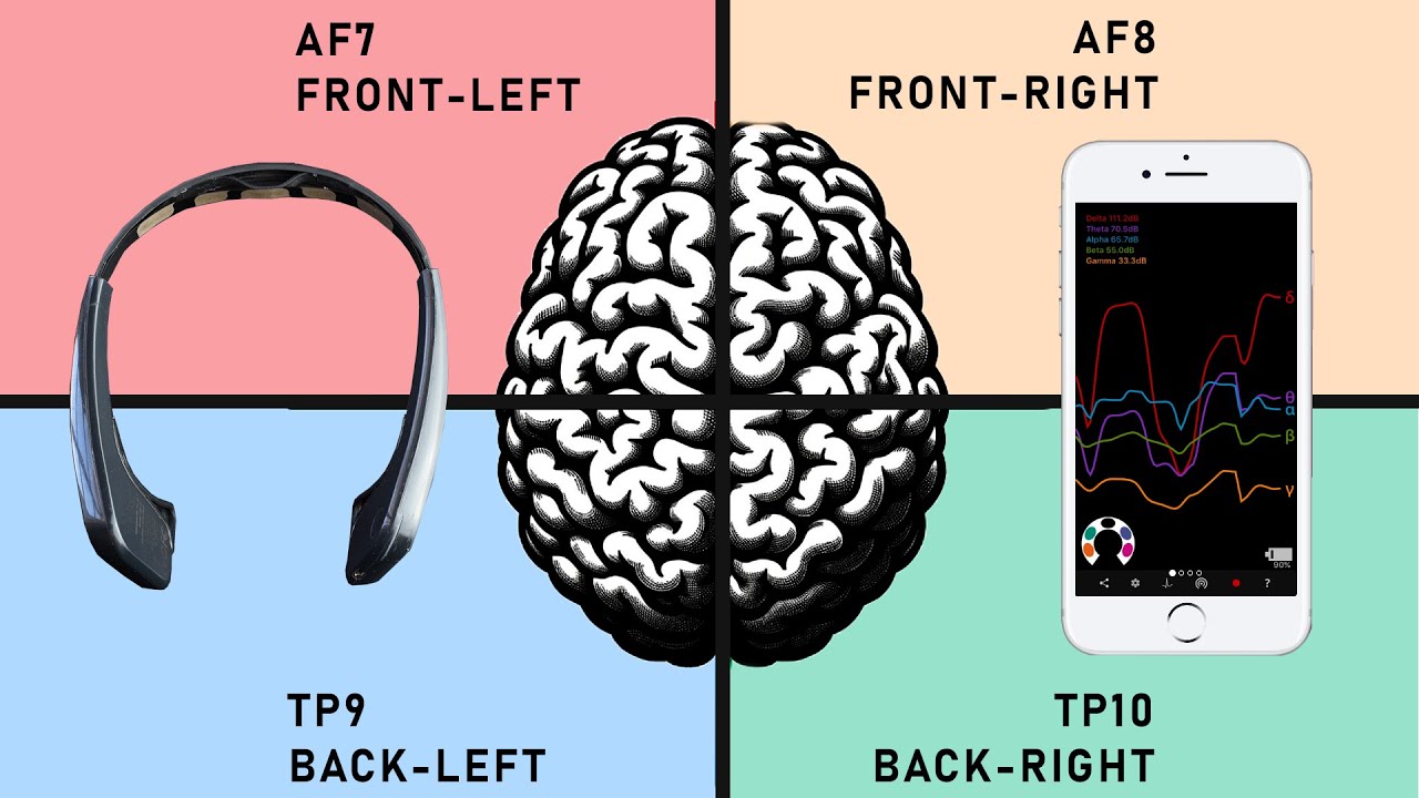 Exploring Brainwaves and Brain Quadrants with Muse Headband + Mind ...