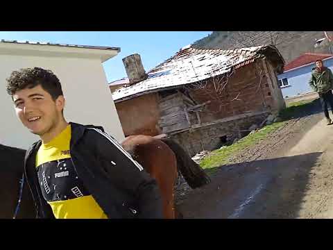 #keşfet yadigar ve askarn alışma süreci icerisindeyiz🐎🐎
