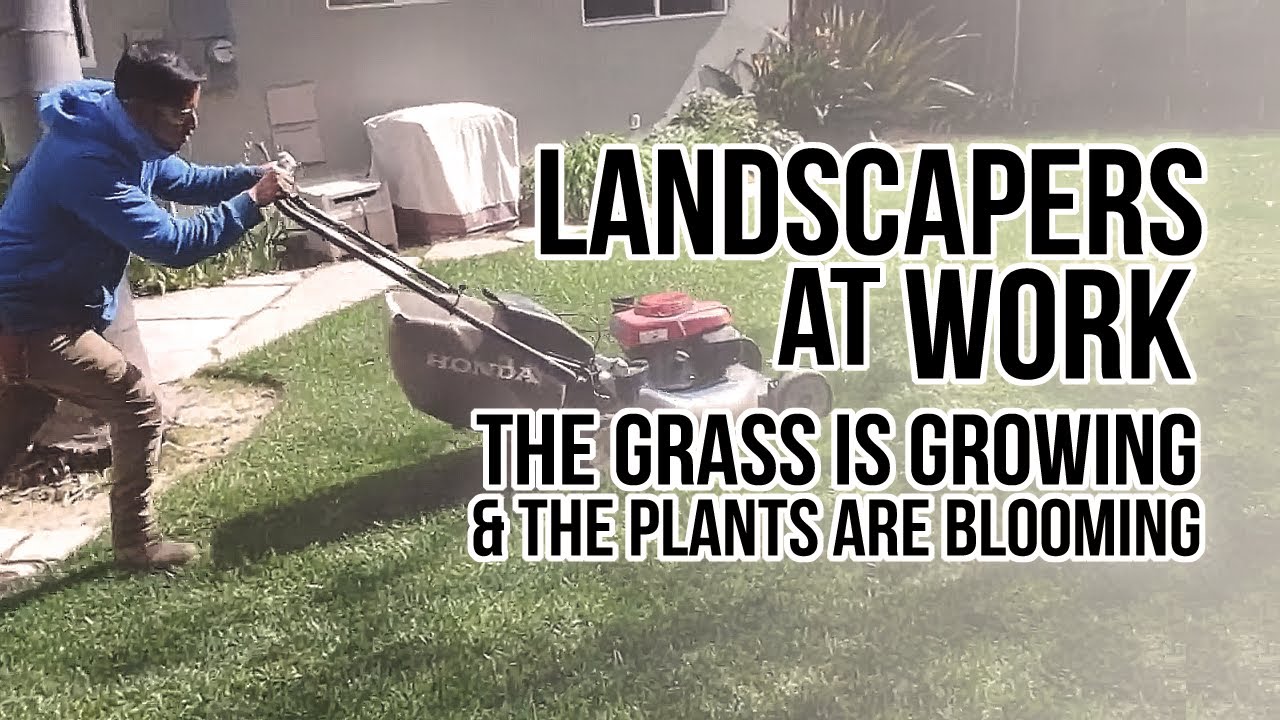 Landscapers At Work: The Grass Is Growing And The Plants Are Blooming ...