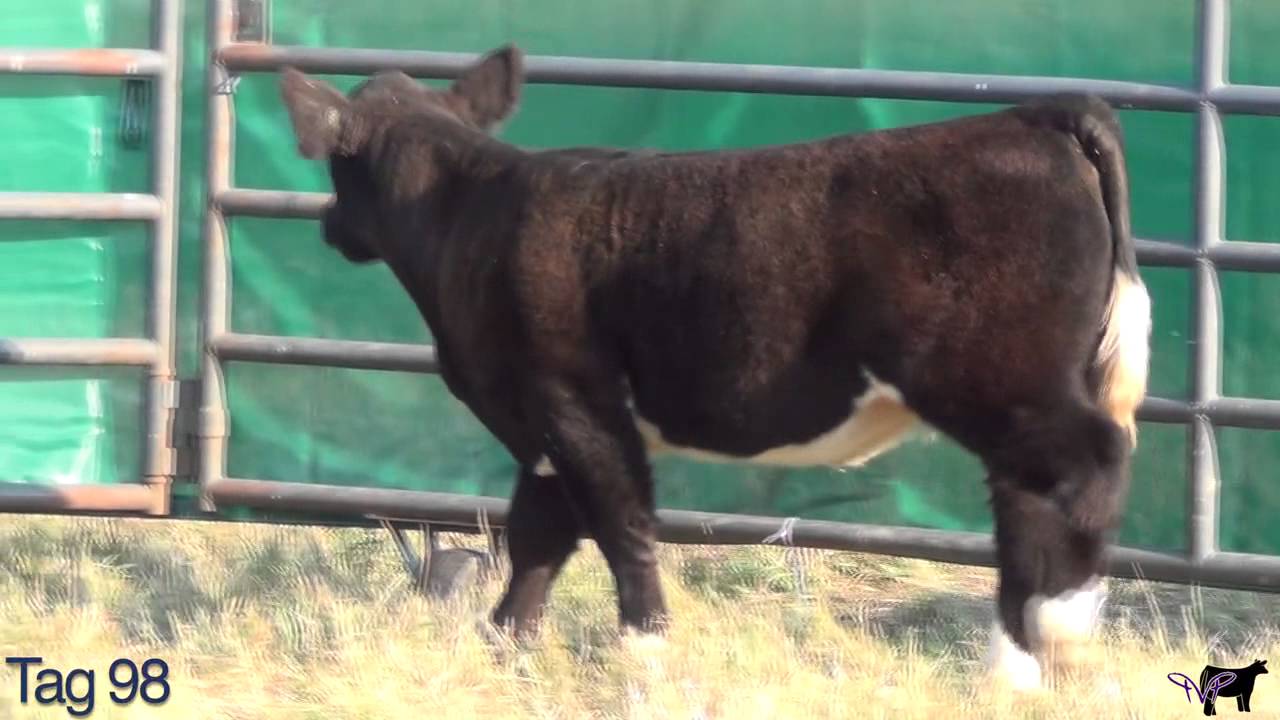 Rock Falls Ranch-Tag 98 - YouTube