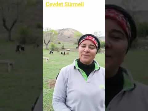 Aysel Aslantepe ağzına yüreğine diline sağlık