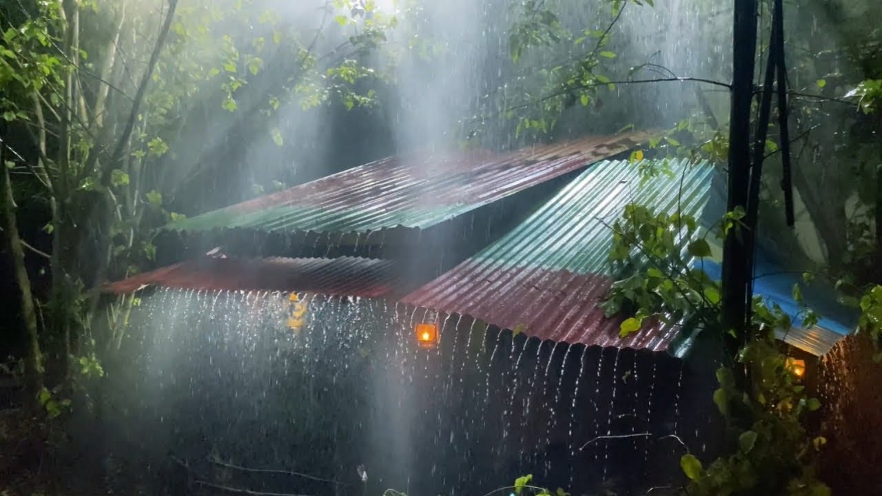 Heavy Rain Falls on the Tin Roof of a Small House in the Forest. Rest ...