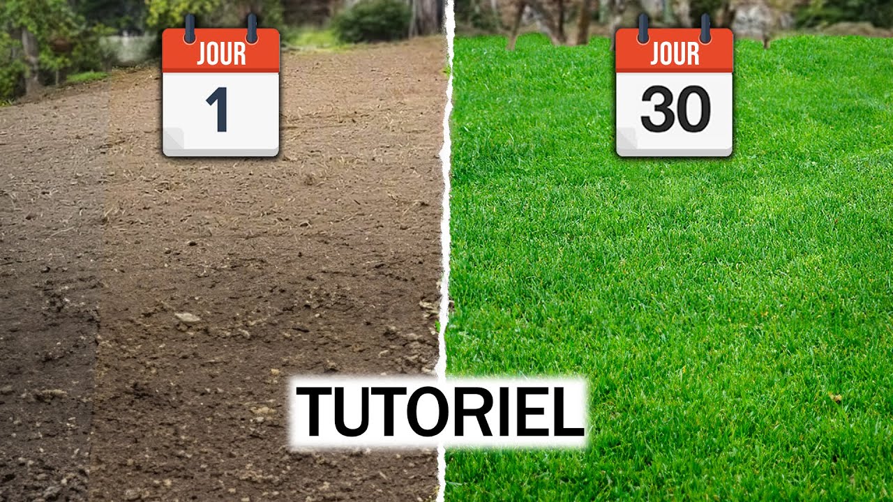 Comment Semer un Gazon? TUTORIEL Débutant + les ERREURS à Fuirrr ...