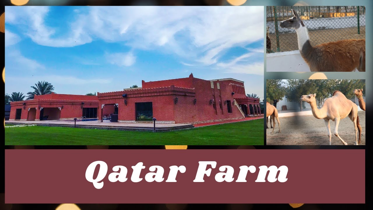 AL KHOR FARM DOHA QATAR- An escape from the hustle and bustle of Doha ...