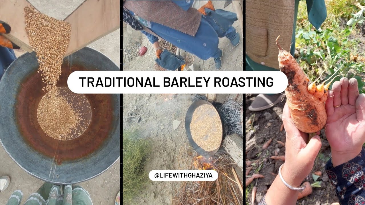 "YOS" The process of traditional barley roasting | farming | Kargil ...