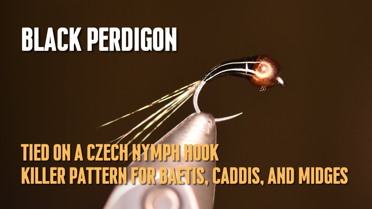 Fly Tying the Black Perdigon Czech Style Nymph: Killer Pattern for ...