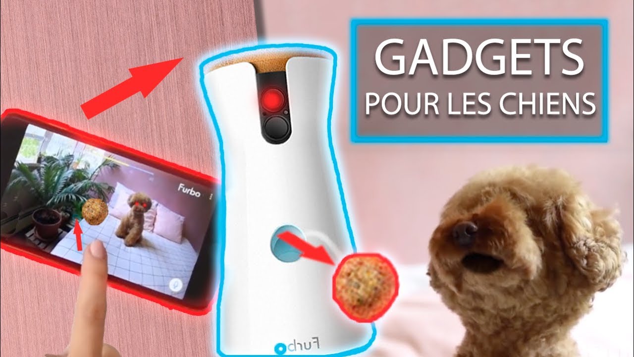 10 Gadgets SYMPAS pour les CHIENS Qui Valent La Peine D'Être Achetés ...