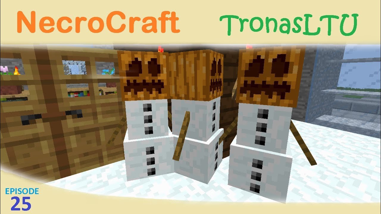 Minecraft - NecroCraft Server - S3 EP25 - New Project - YouTube