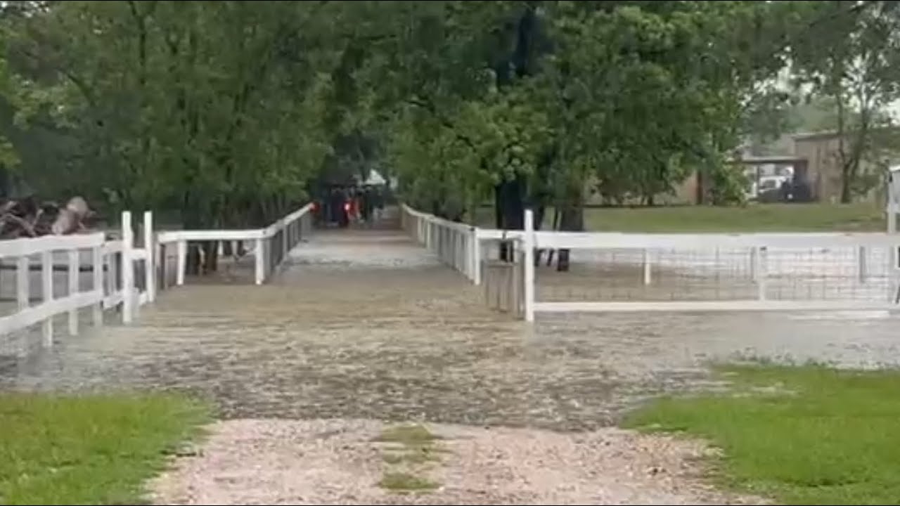 Longhorn Lester's is live! - YouTube