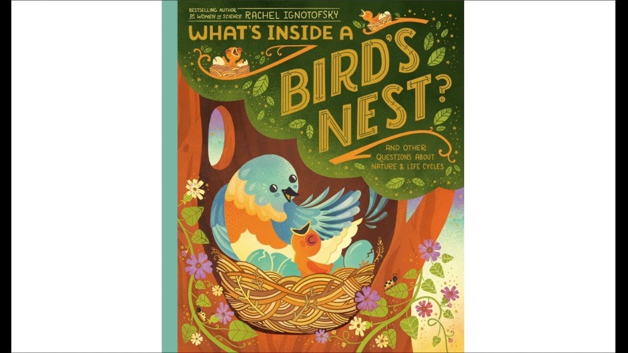 Whats Inside a Bird's Nest? (Kids Book Read Aloud) - YouTube