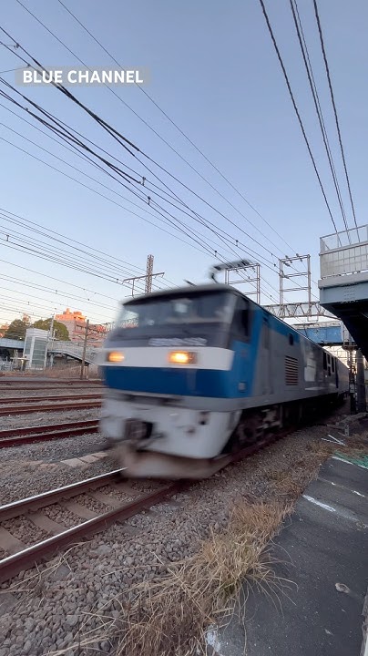 (貨物列車) 2025/02/11 2059レ EF210-152 + コキ20B カンガルーライナーSS60 (陸前山王〜吹田タ) #Shorts - YouTube